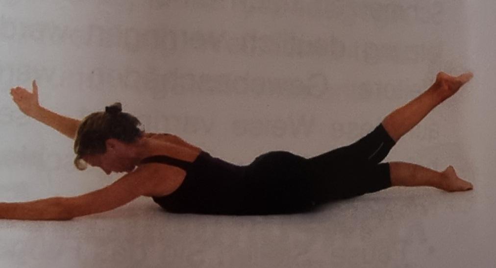 Warmup, Bauch-Beine-Po Stretching - Gymwelt | Turnen beim VfL Kirchheim ...